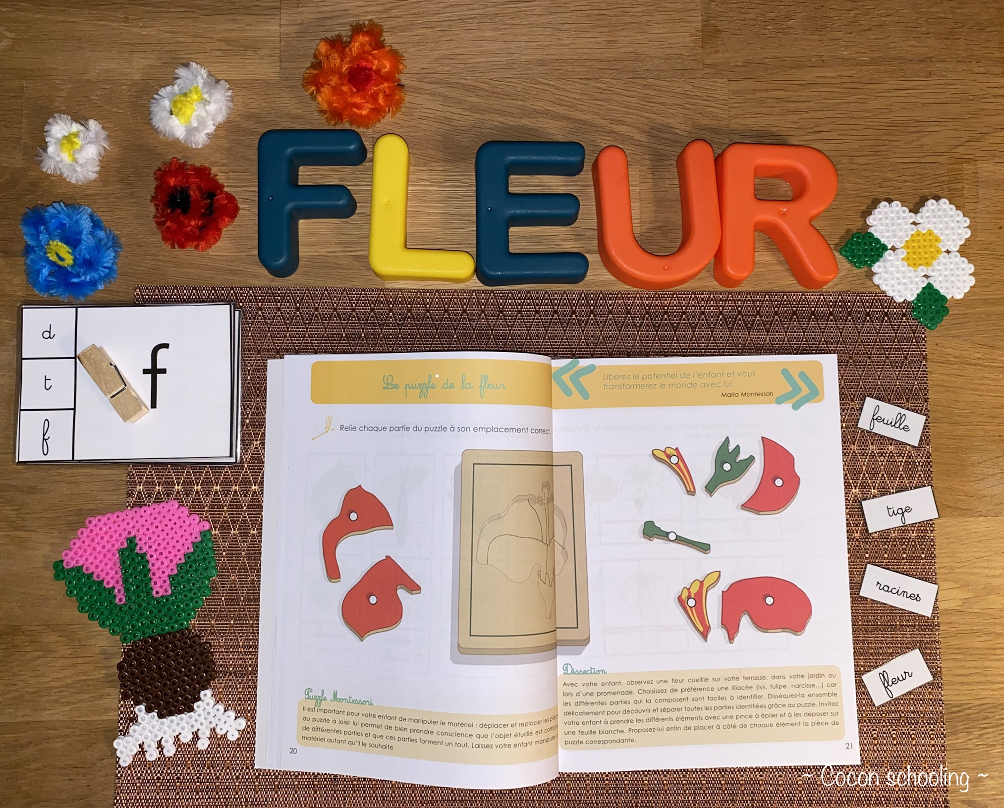 Thème: Les fleurs – Cocon-Schooling