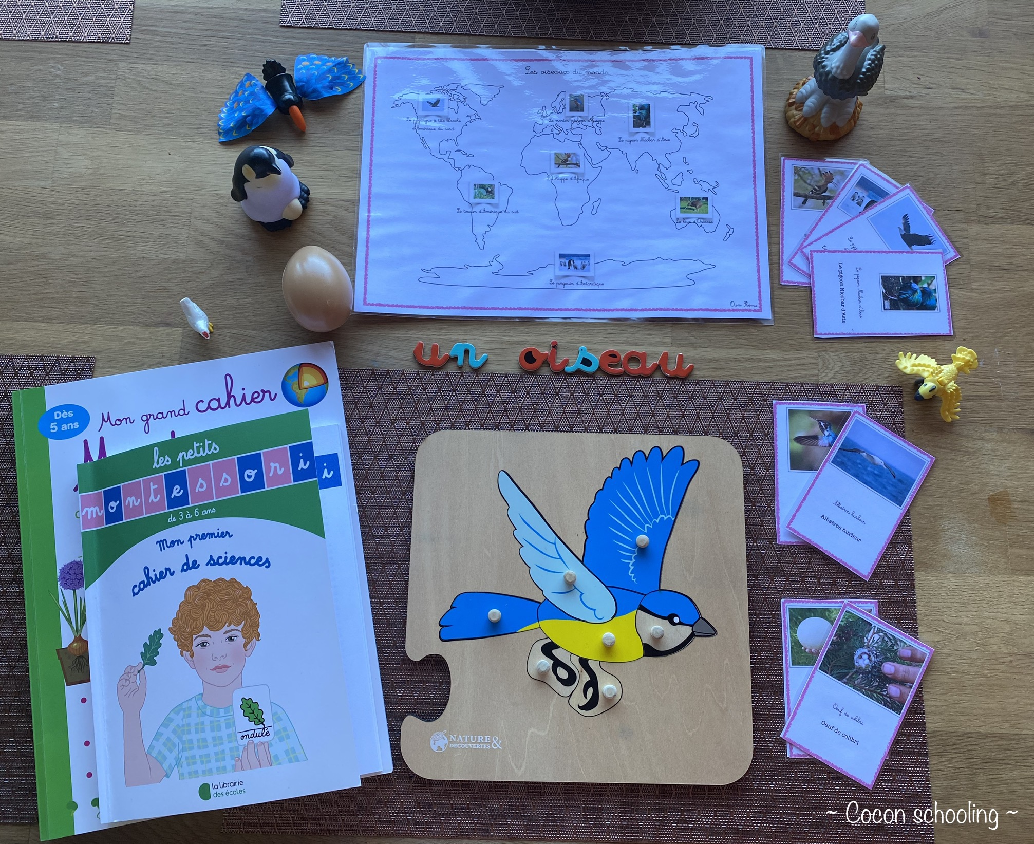 Thème: Les oiseaux – Cocon-Schooling