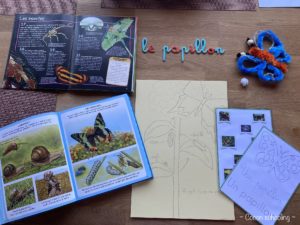 Thème: Les papillons – Cocon-Schooling