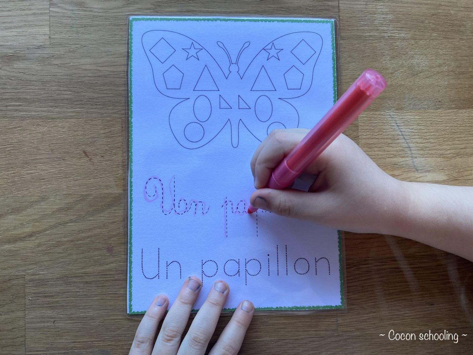 Thème: Les papillons – Cocon-Schooling