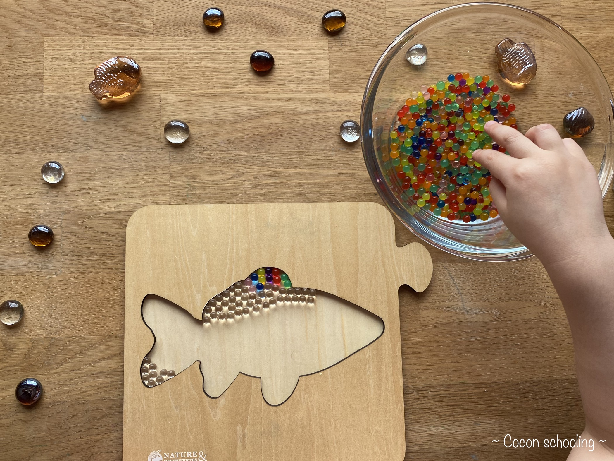 Thème: Les poissons – Cocon-Schooling