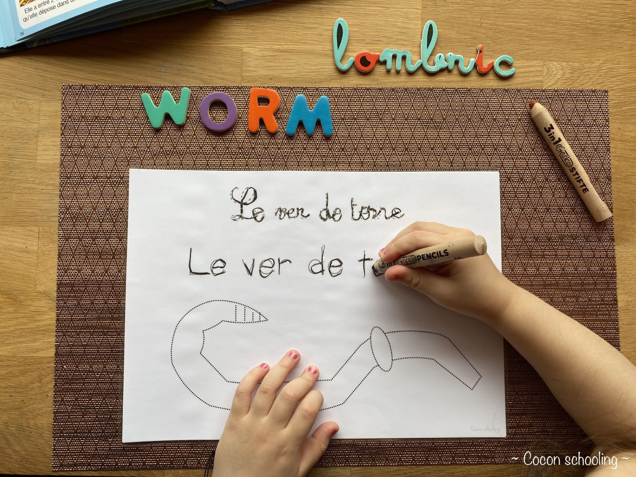 Thème: Les vers de terre commun / lombric commun – Cocon-Schooling