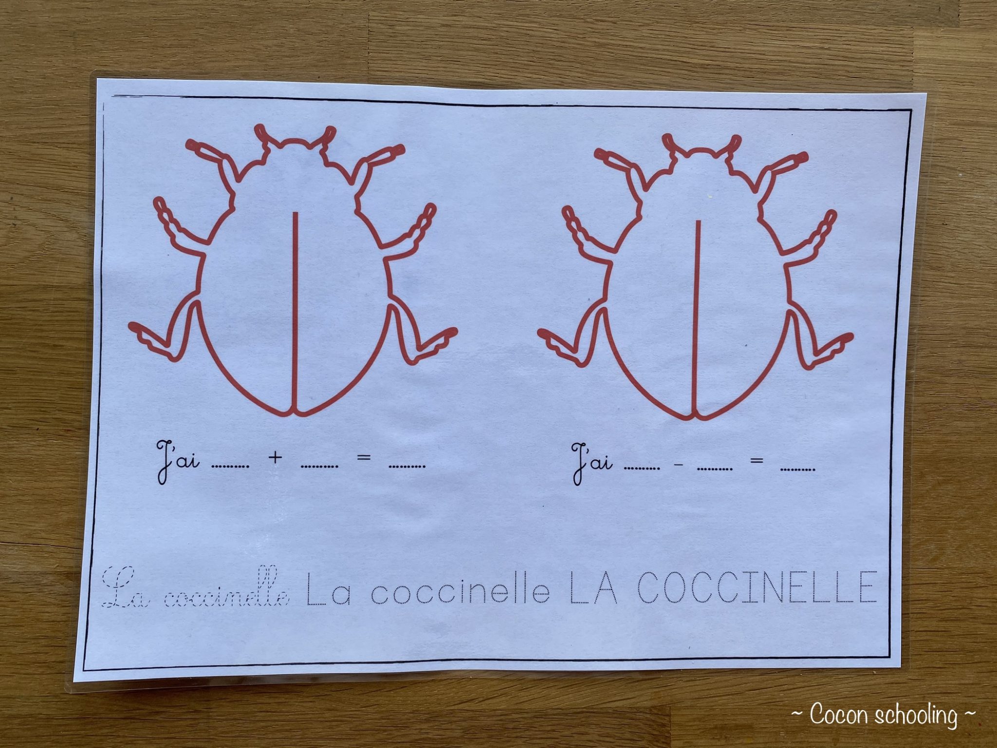 Thème: les coccinelles – Cocon-Schooling