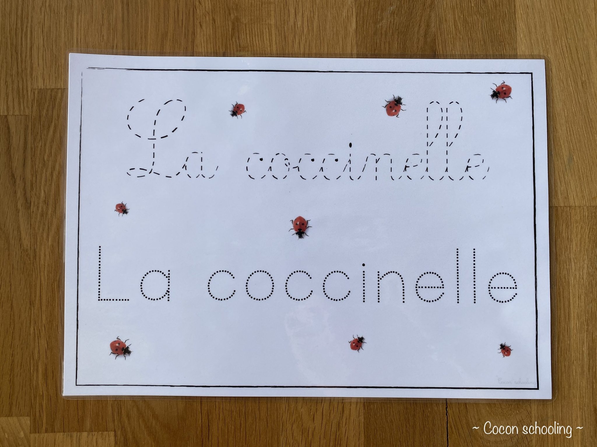 Thème: les coccinelles – Cocon-Schooling
