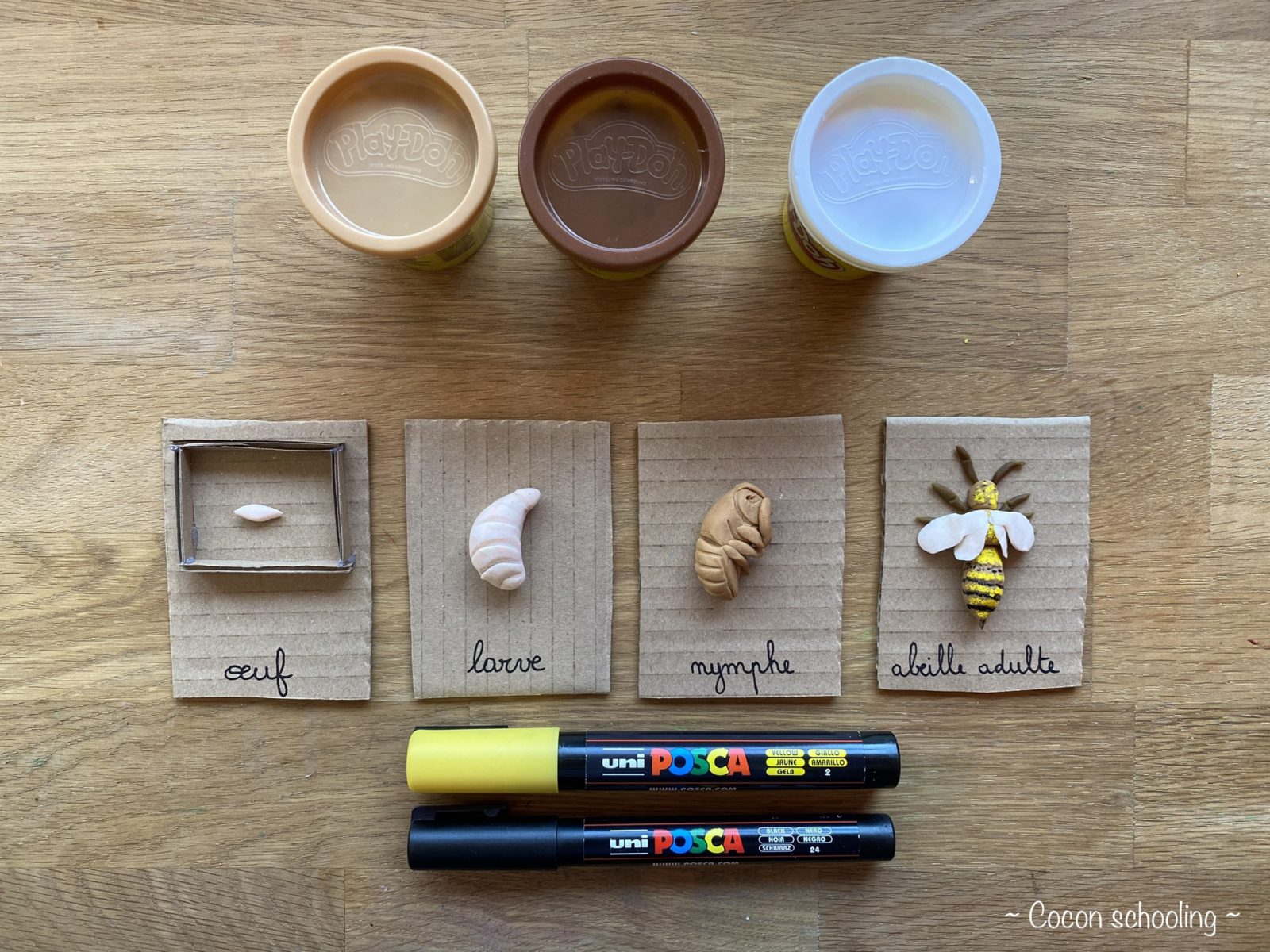 Thème: Les abeilles – Cocon-Schooling