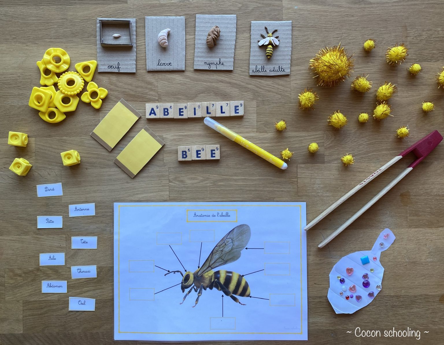 Thème: Les abeilles – Cocon-Schooling