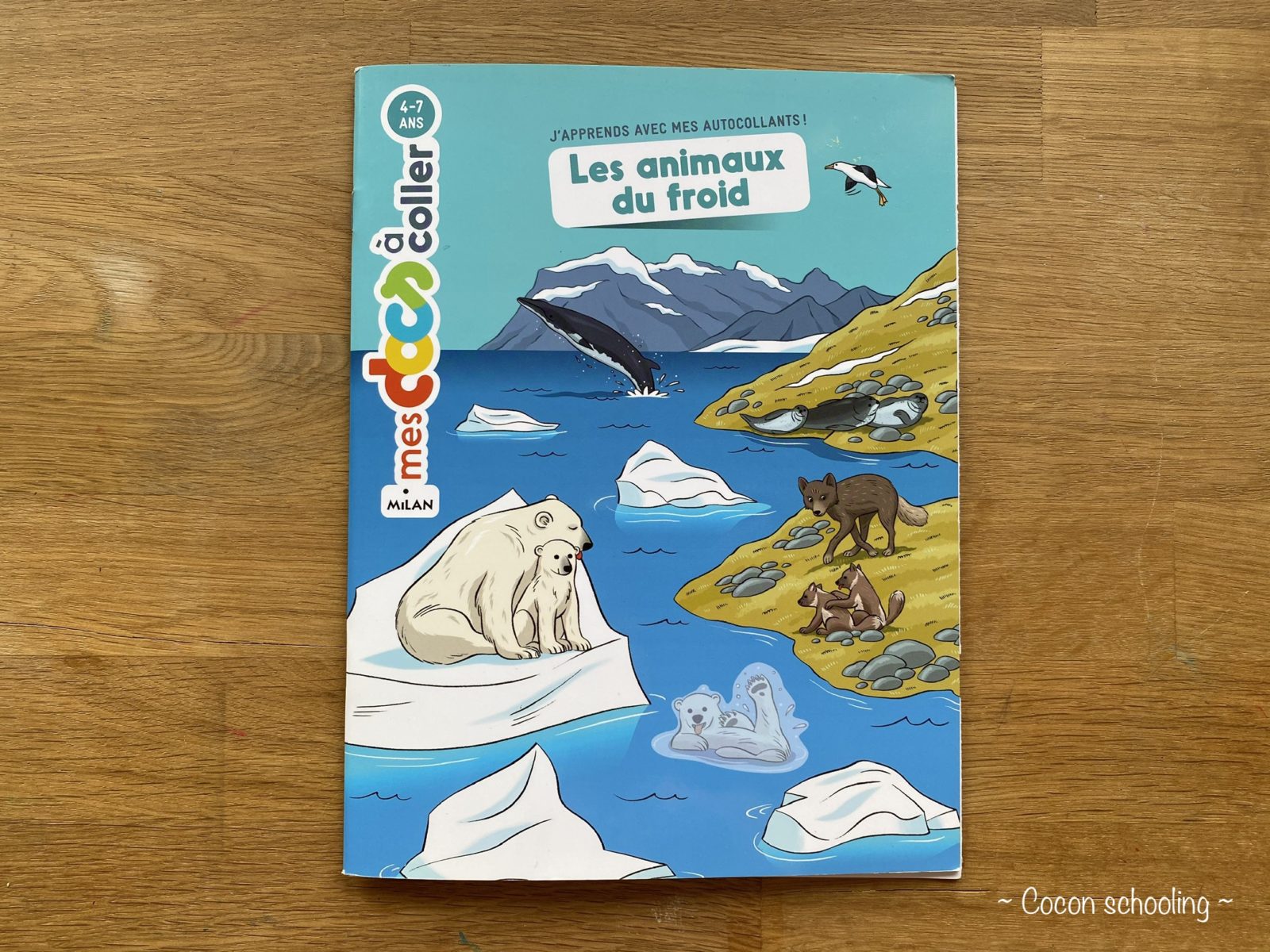 Antarctique – Cocon-Schooling