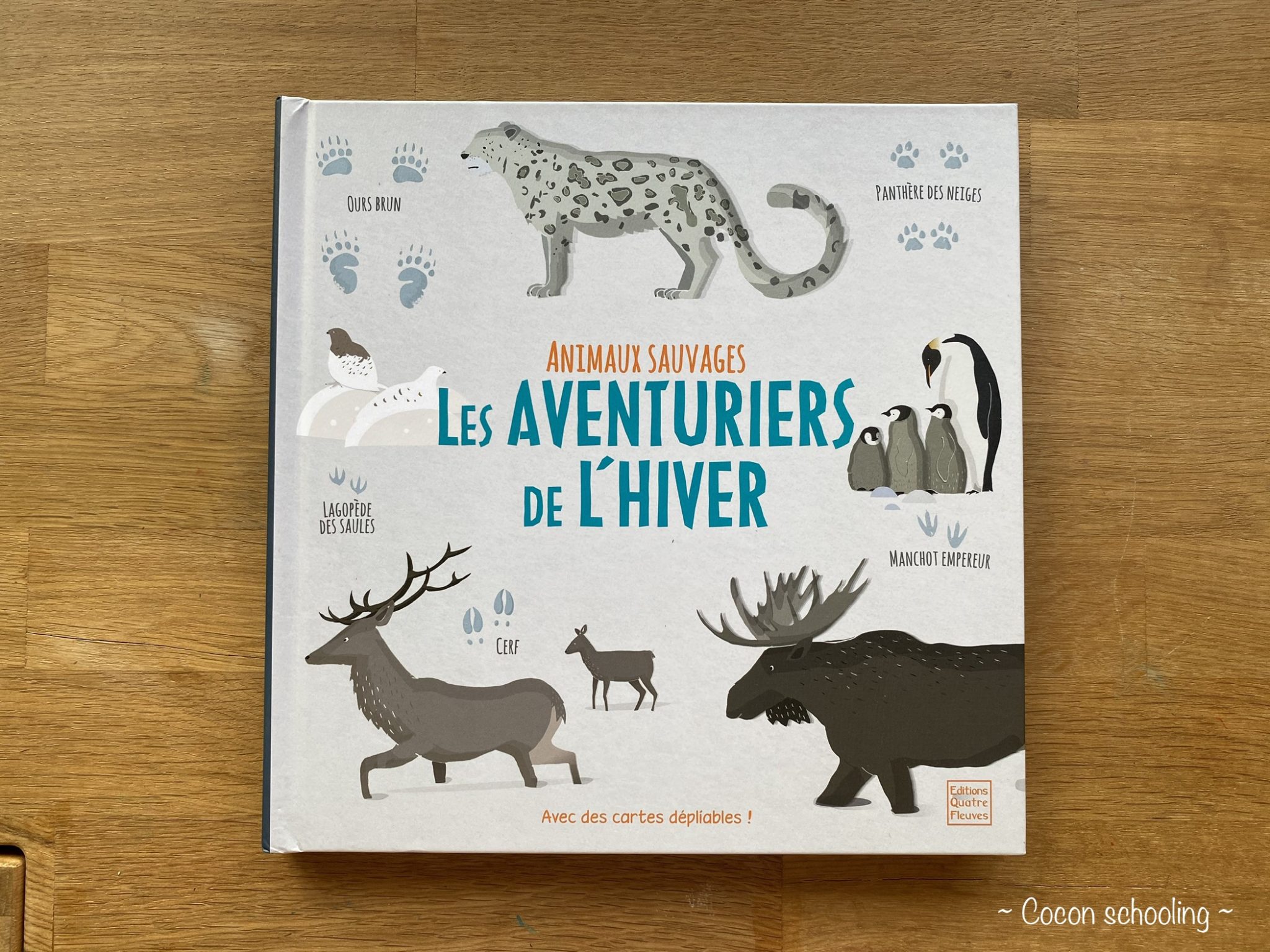 Antarctique – Cocon-Schooling