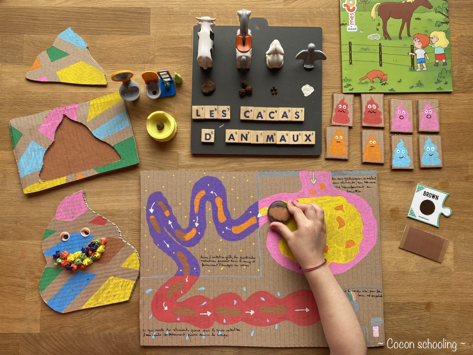 Thème: Le caca – Cocon-Schooling