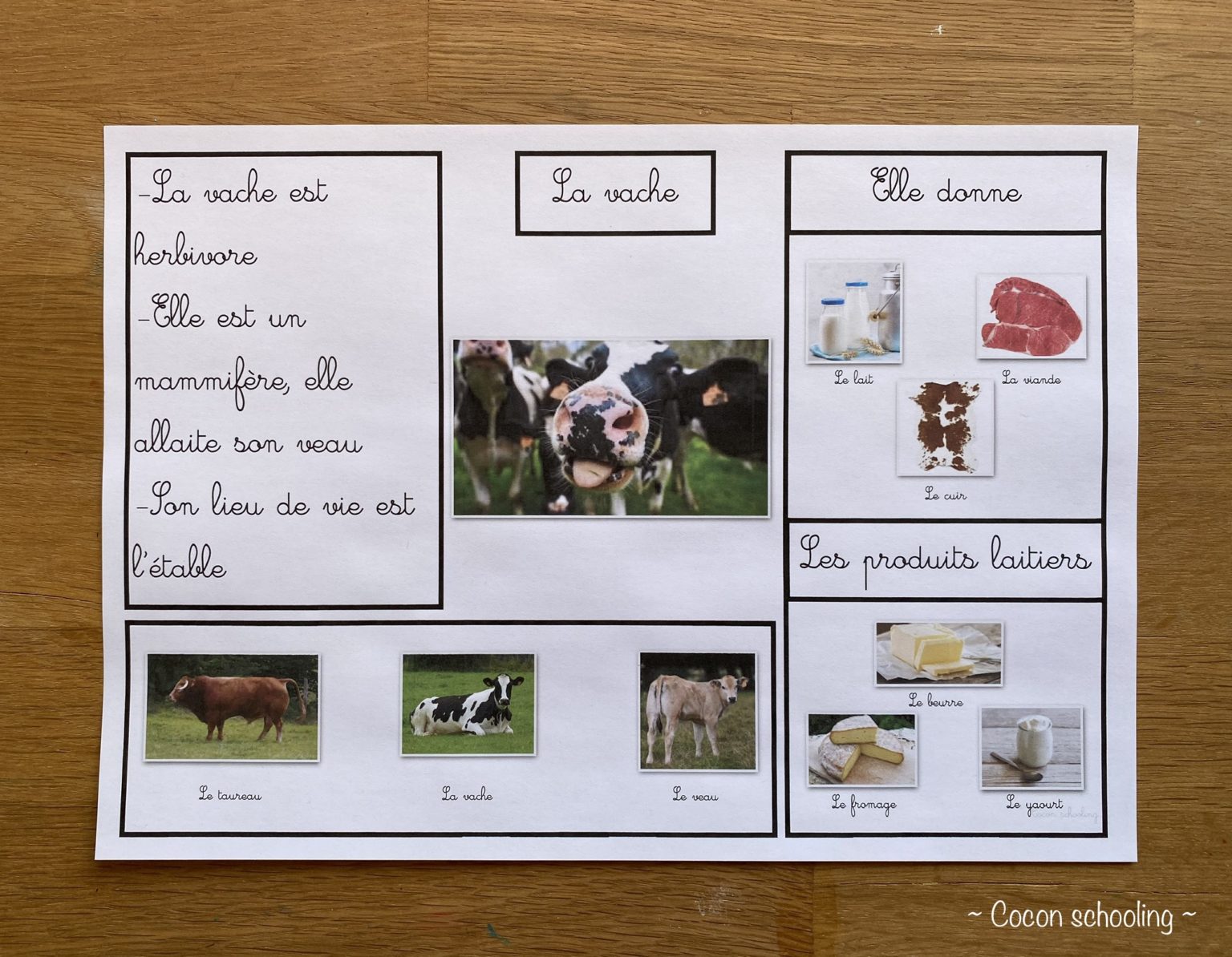 Thème: La ferme Zoom sur les vaches – Cocon-Schooling