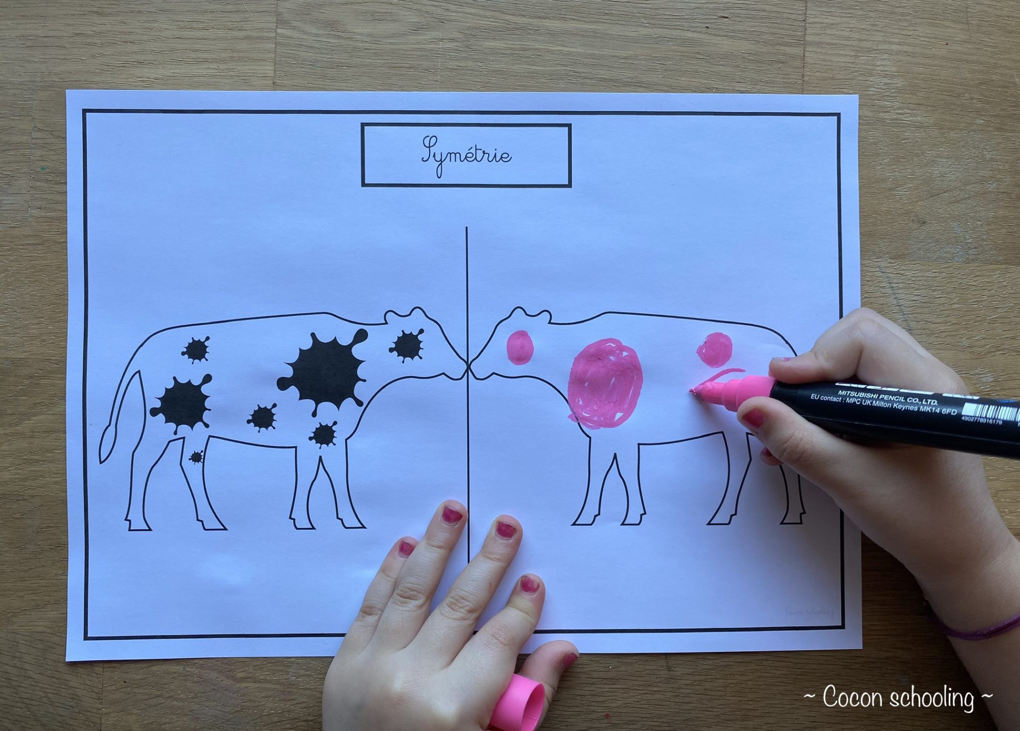 Thème: La ferme Zoom sur les vaches – Cocon-Schooling