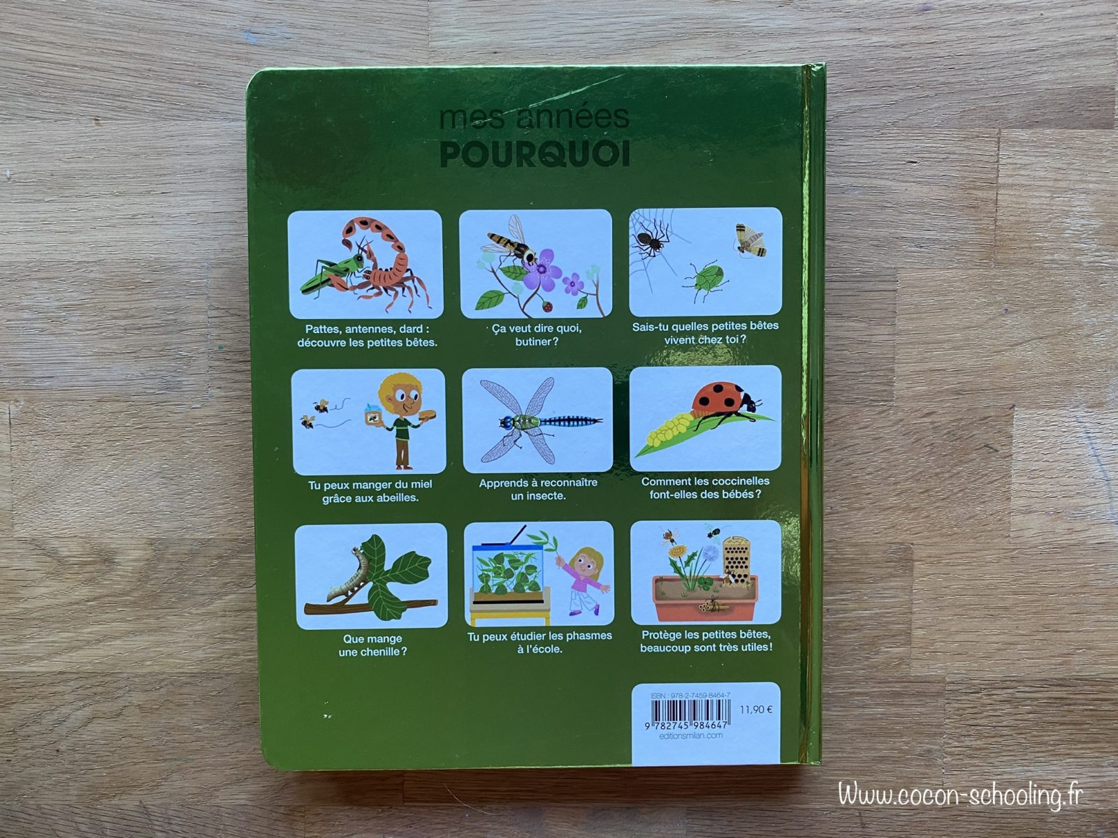 Thème: Les petites bêtes, LIBELLULE – Cocon-Schooling