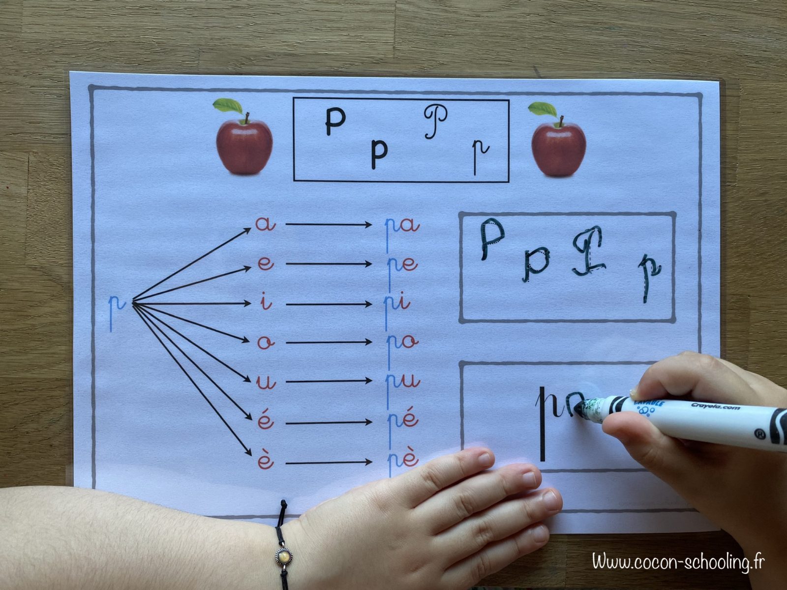 Thème: LES POMMES – Cocon-Schooling