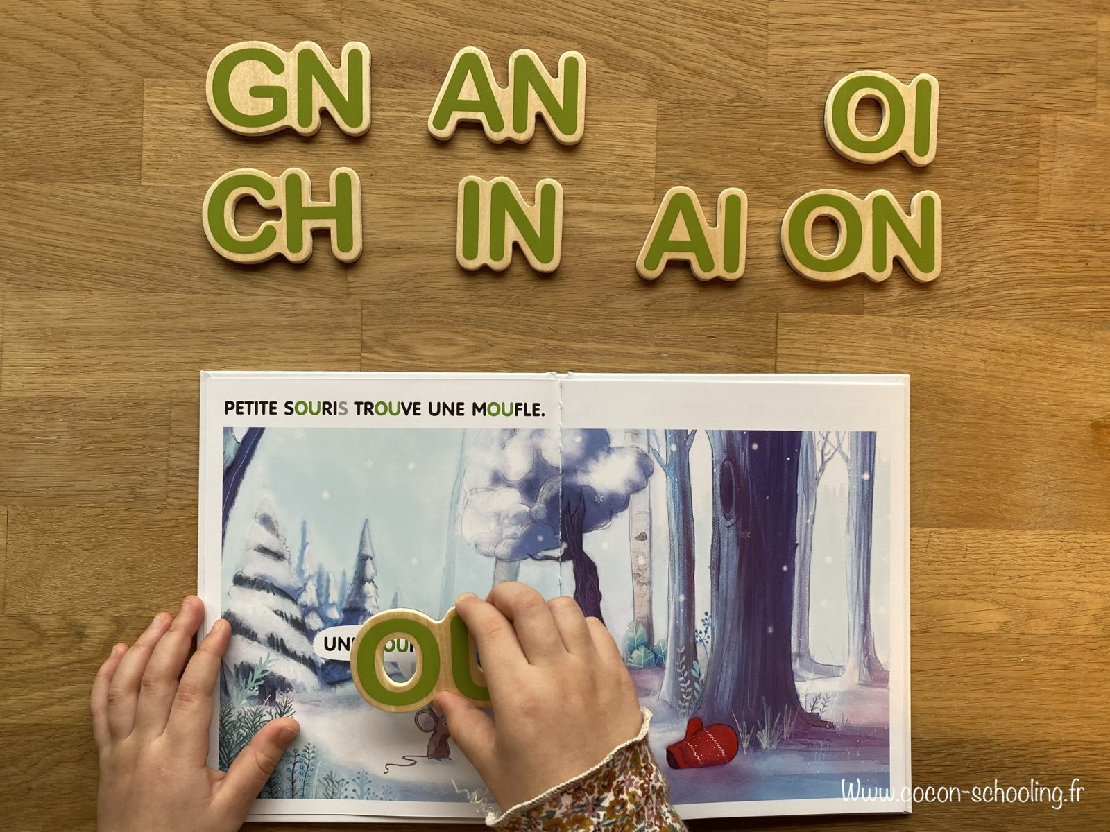 Thème: La moufle de Céline Alvarez – Cocon-Schooling