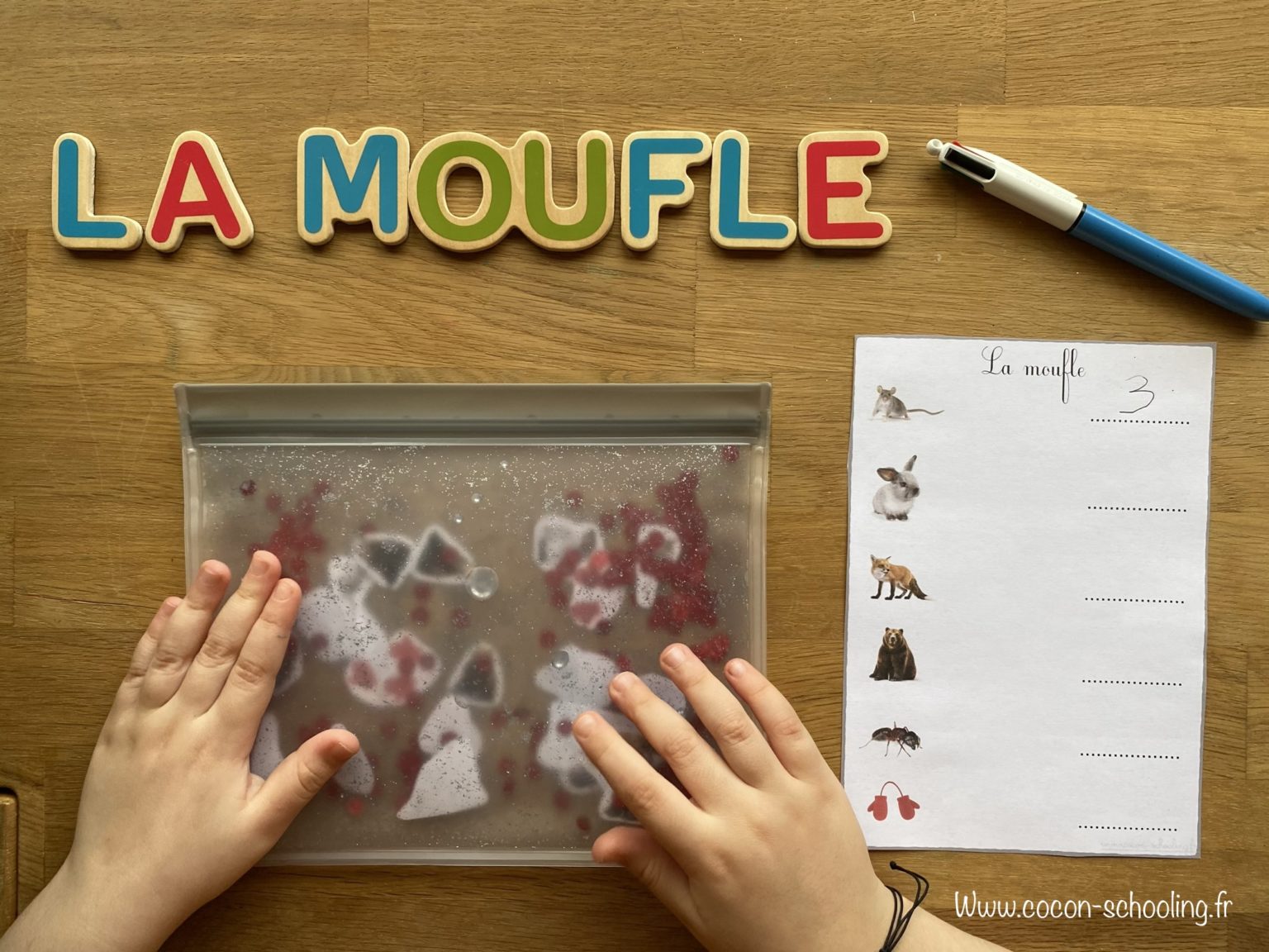 Thème: La moufle de Céline Alvarez – Cocon-Schooling