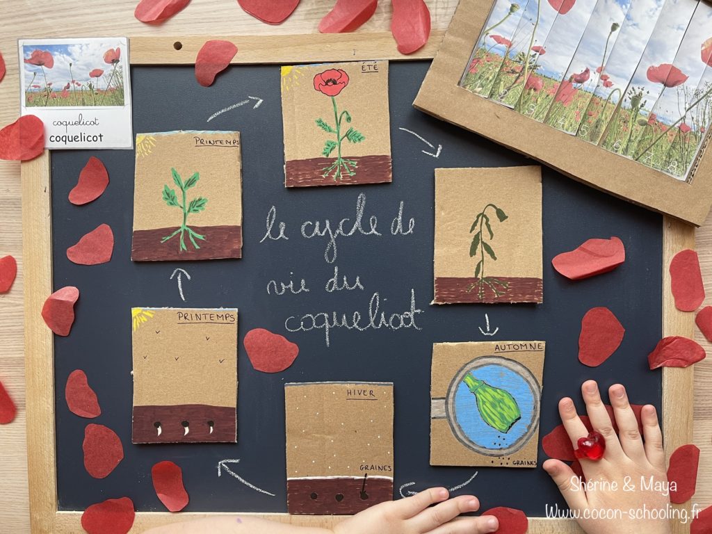 Printemps – Cocon-Schooling