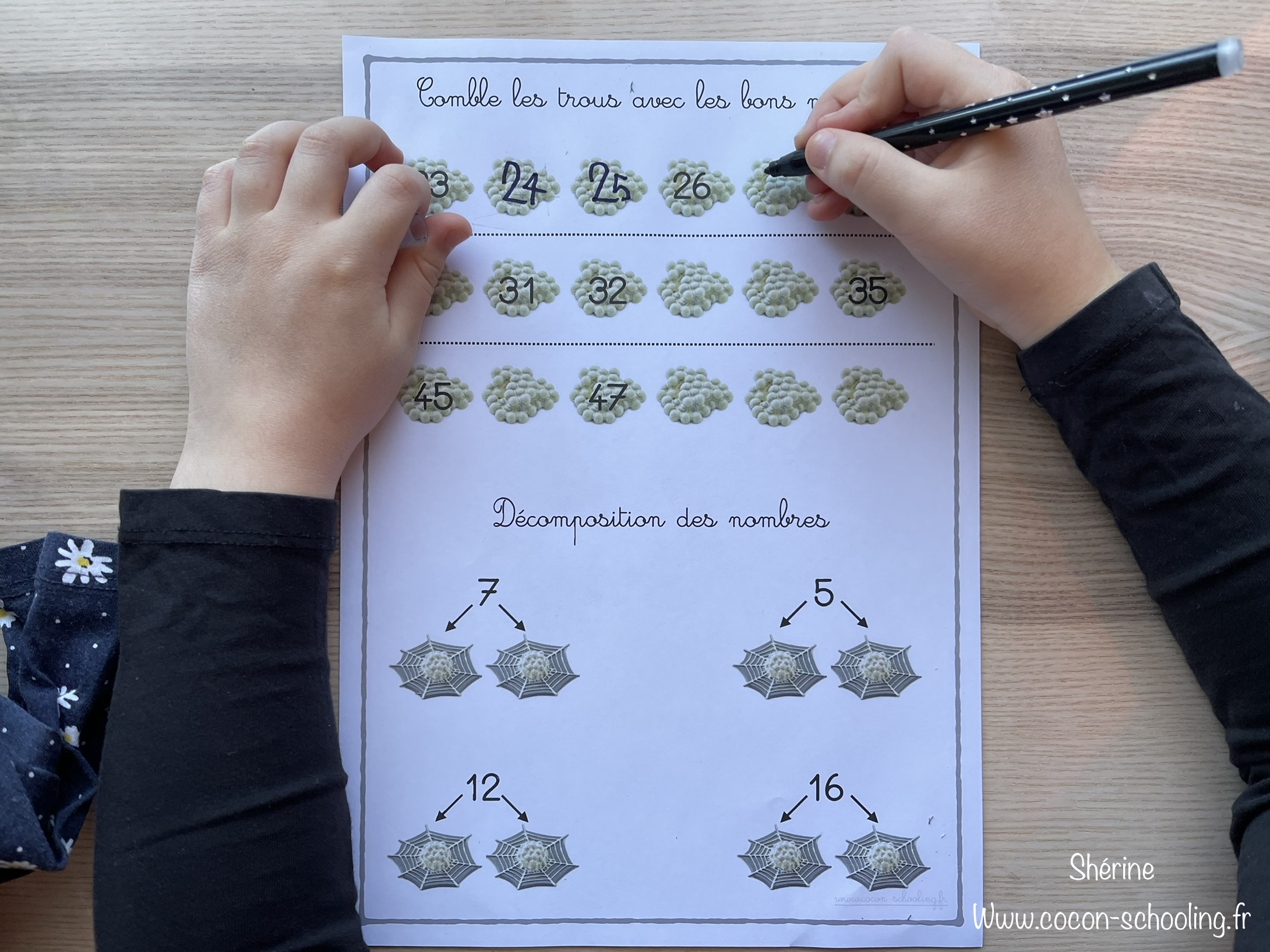 LES ARAIGNEES – Cocon-Schooling