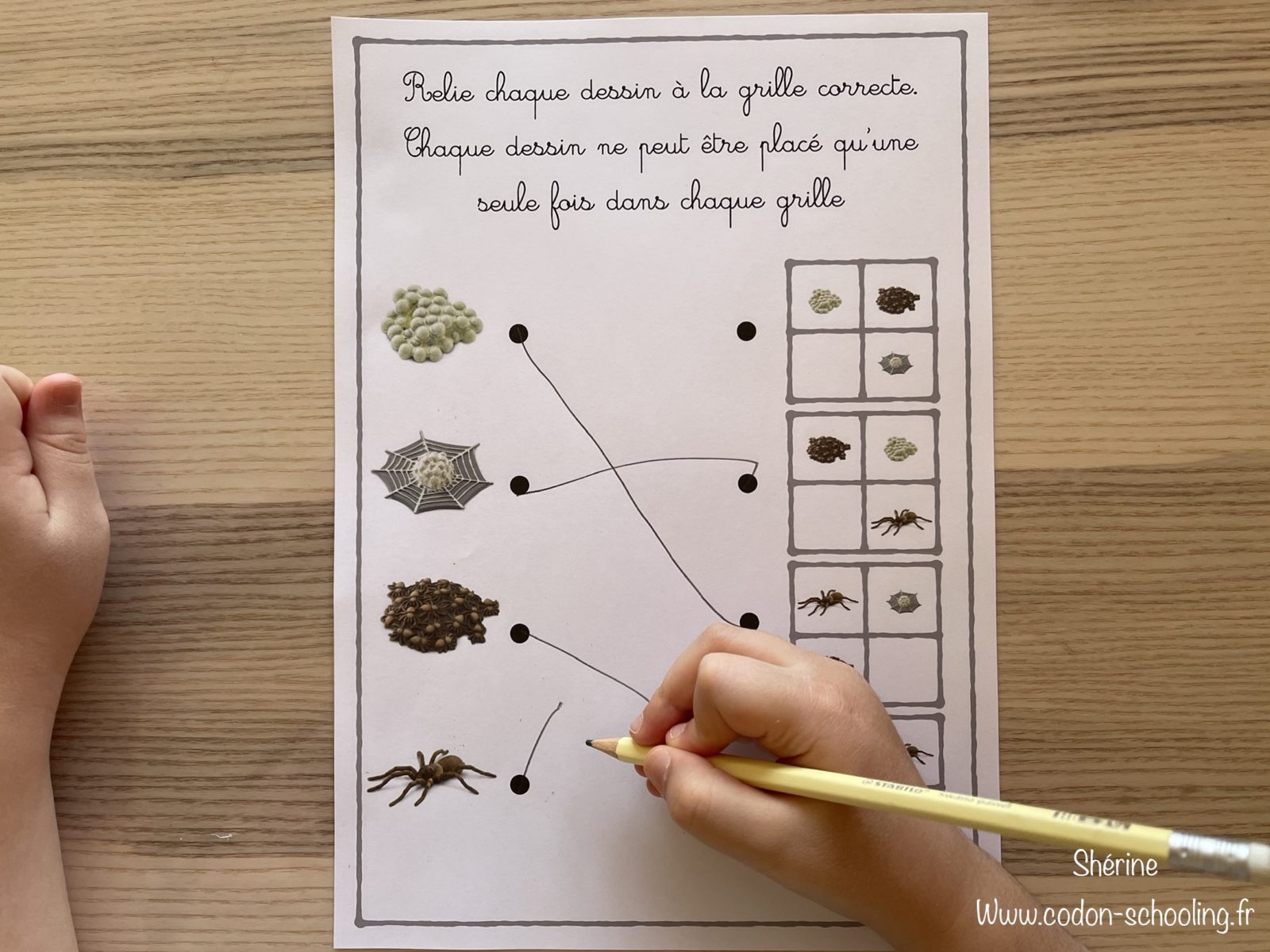 LES ARAIGNEES – Cocon-Schooling