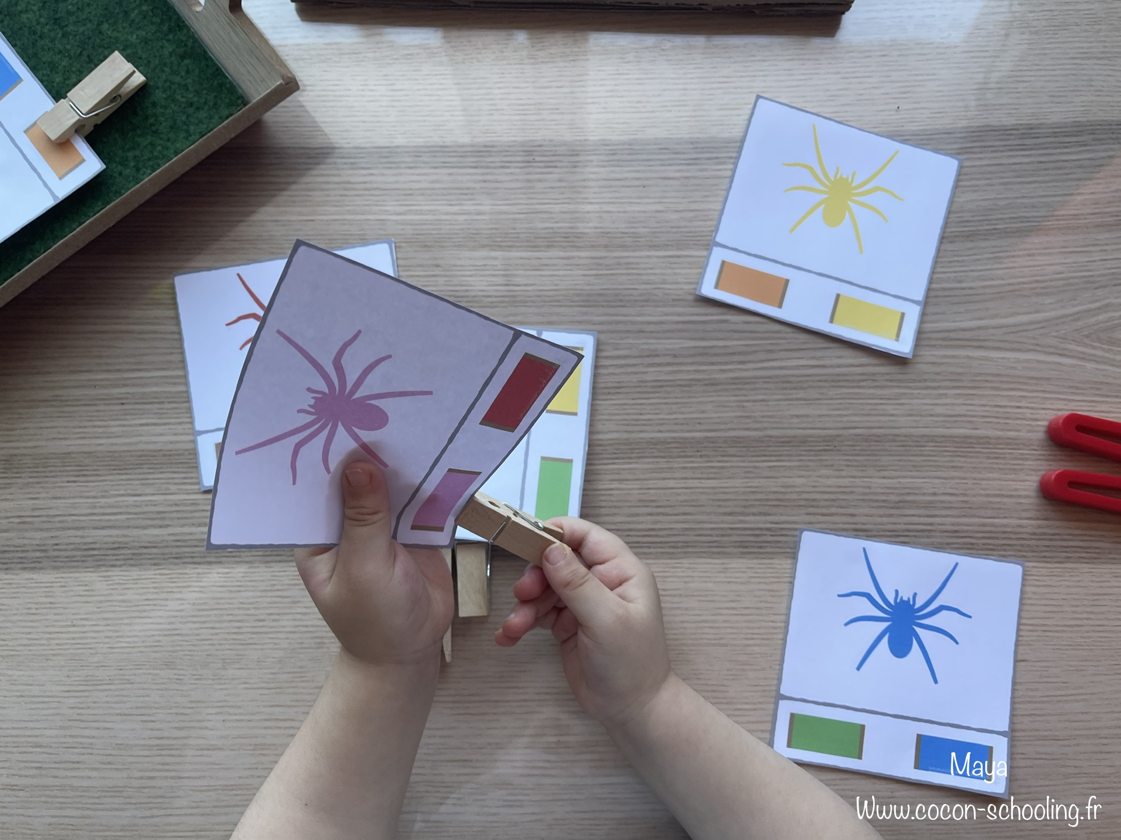 LES ARAIGNEES – Cocon-Schooling