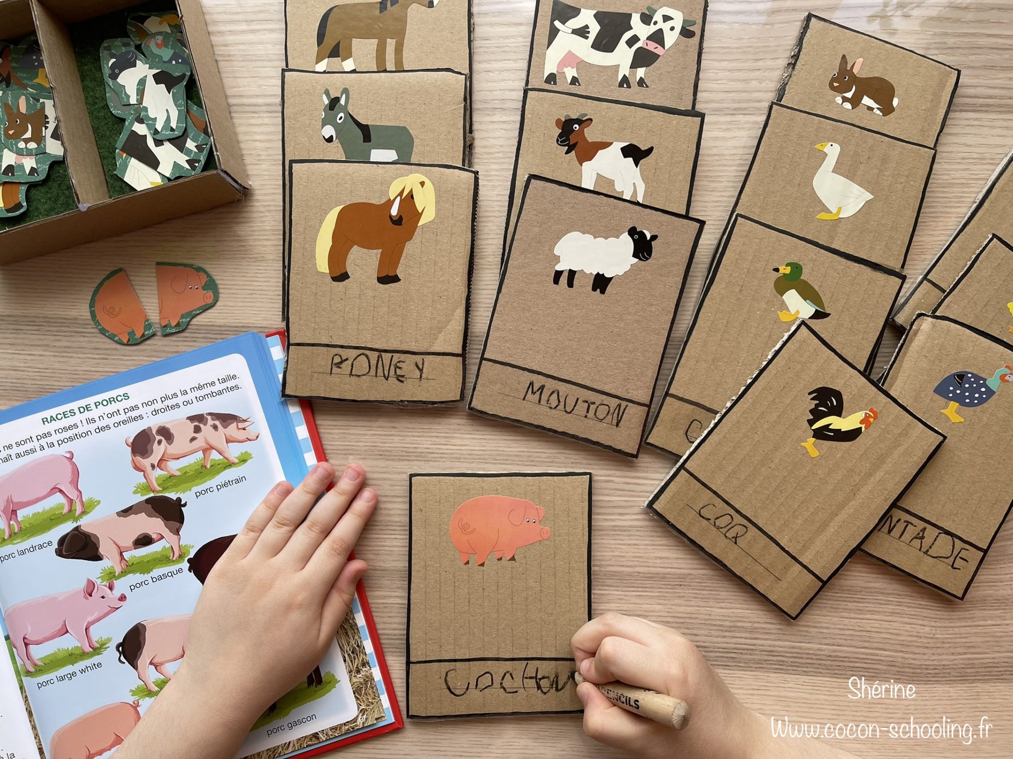 10 Doigts – Cocon-Schooling