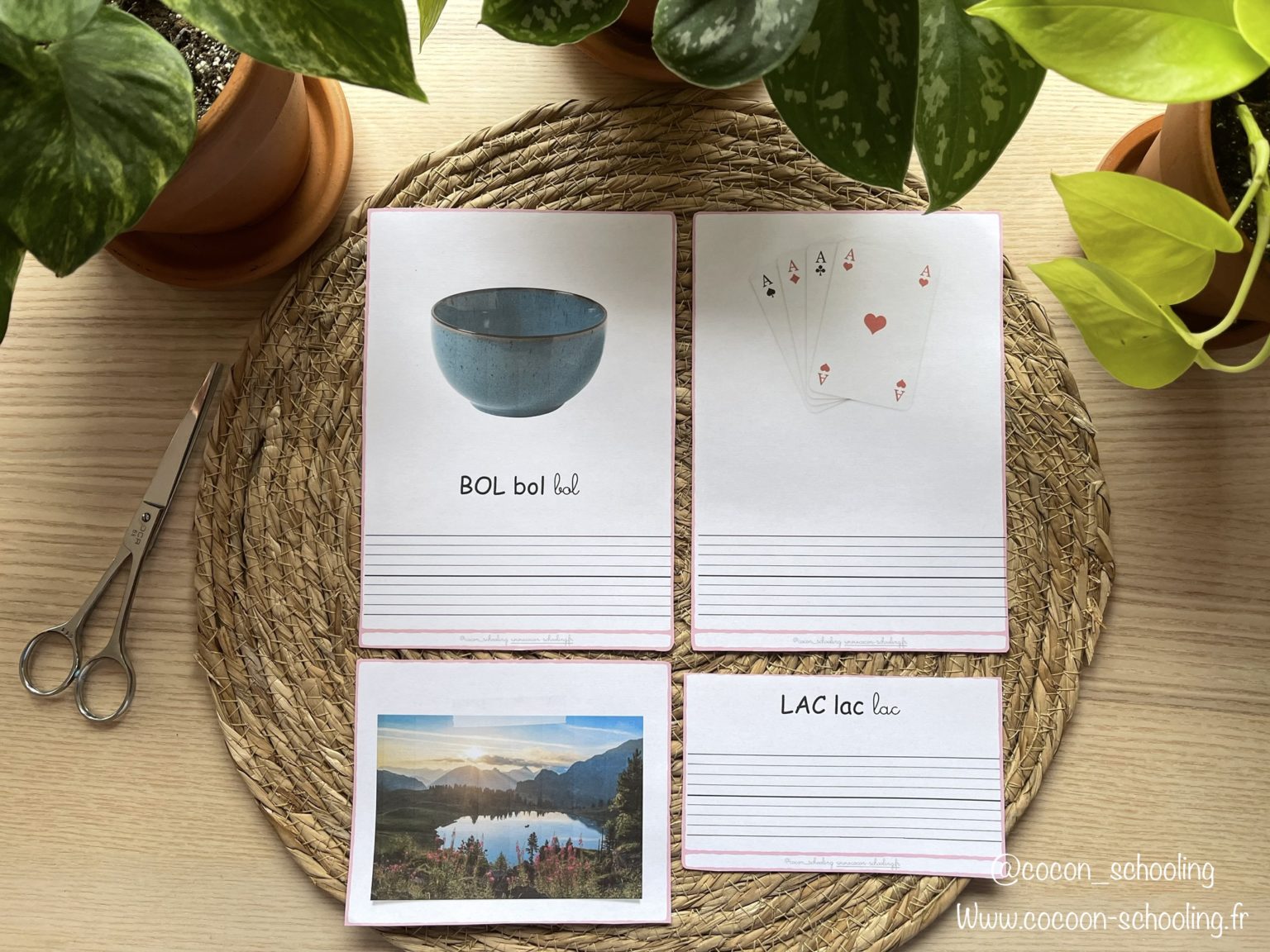 Serie rose – Cocon-Schooling