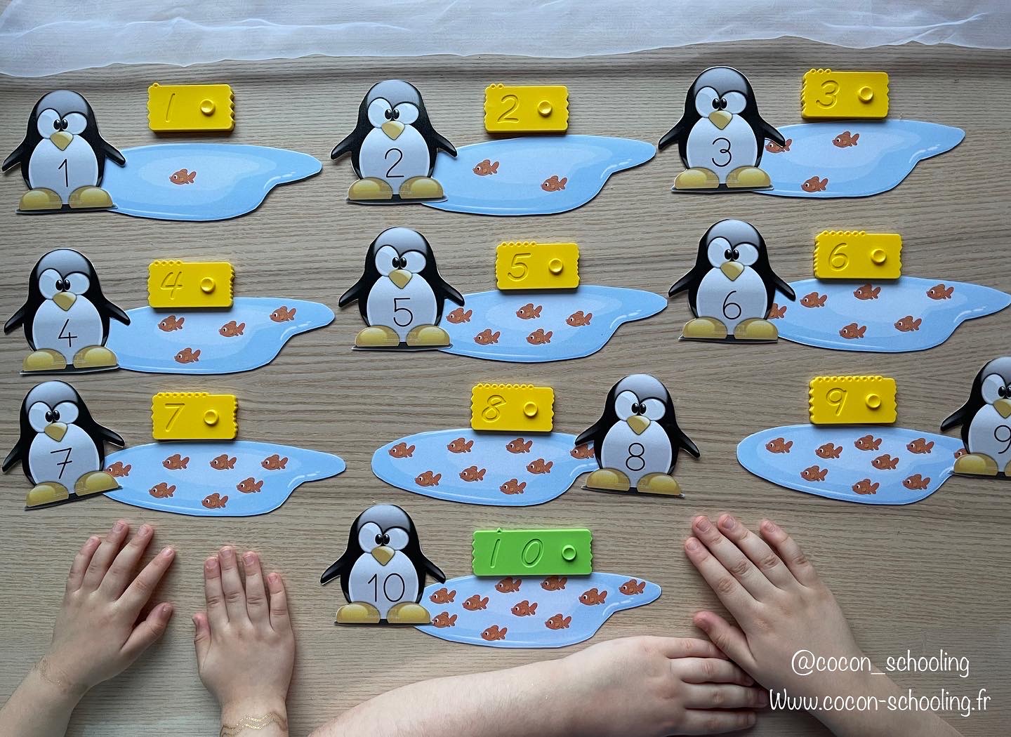 Les manchots à compter – Cocon-Schooling