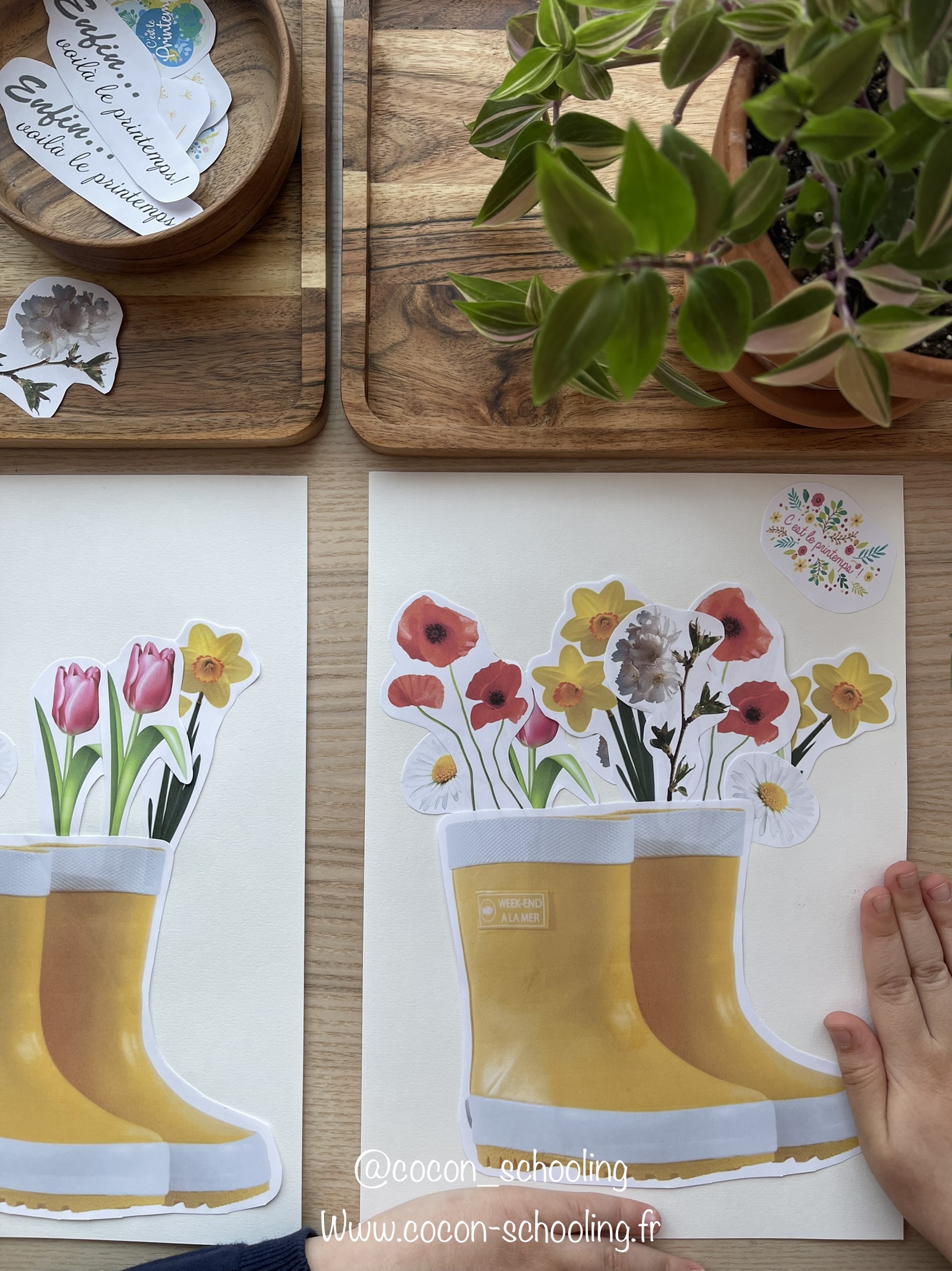 Bon printemps !!! – Cocon-Schooling