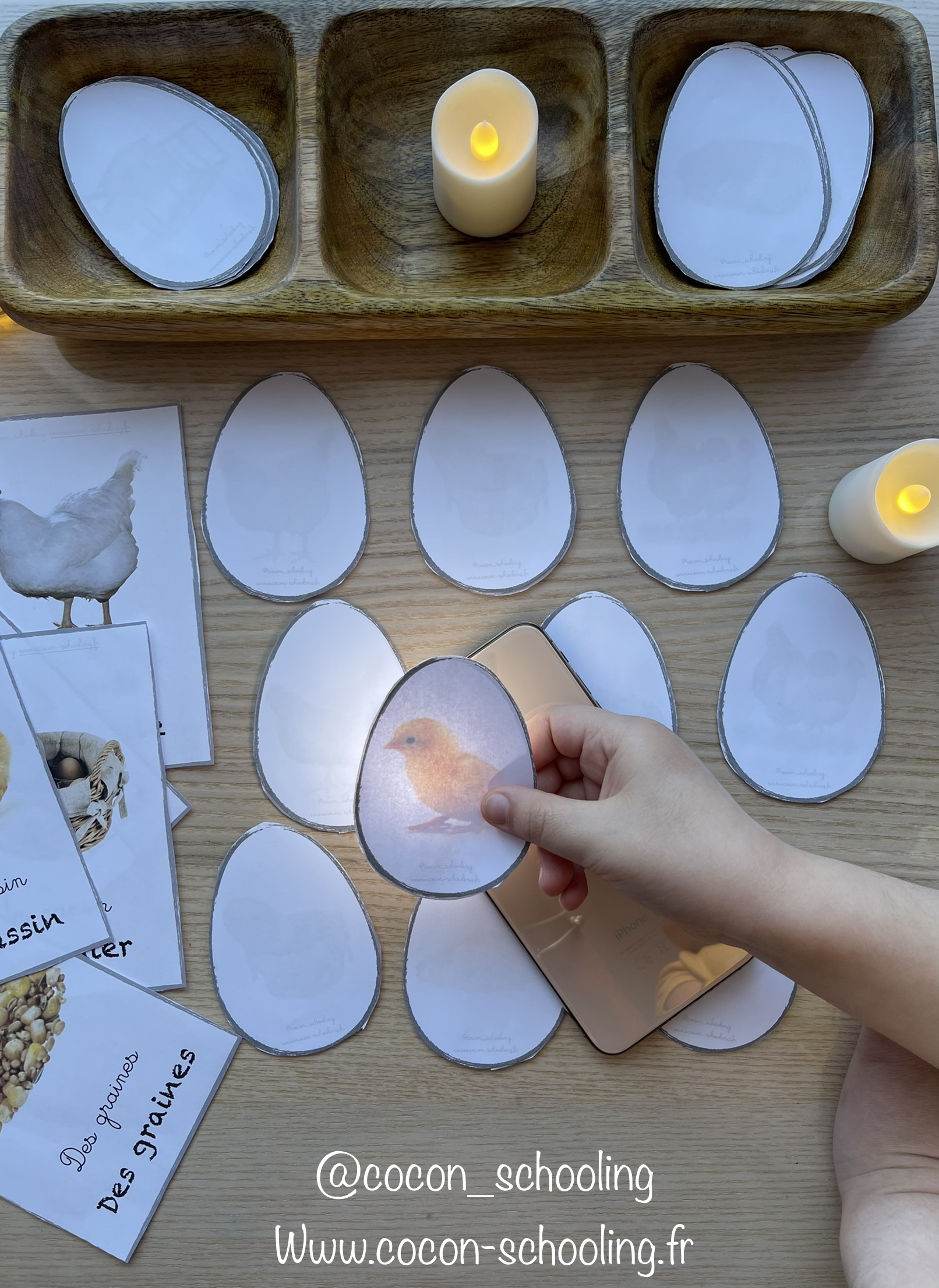 Bon printemps !!! – Cocon-Schooling