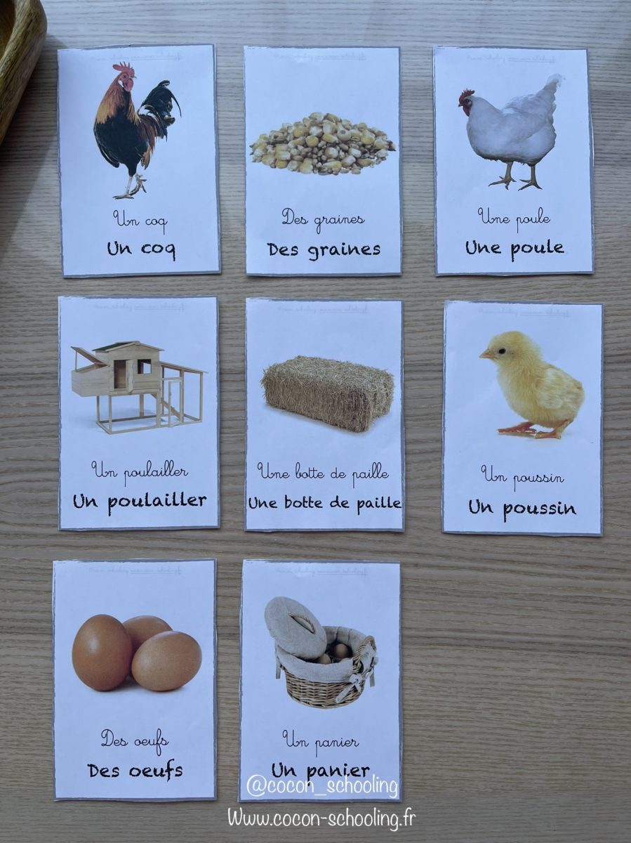 Bon printemps !!! – Cocon-Schooling