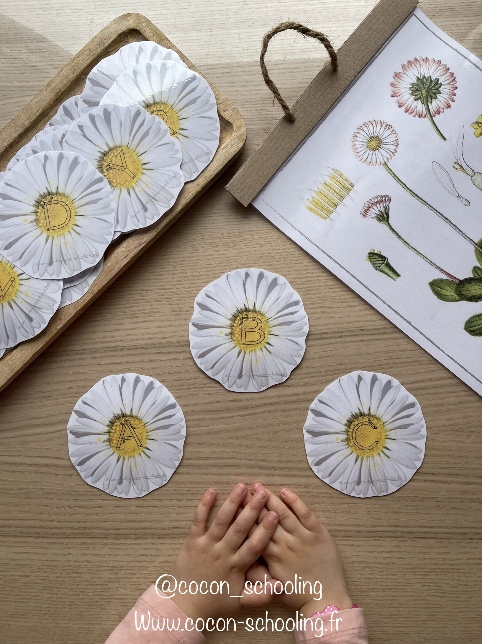 Bon printemps !!! – Cocon-Schooling