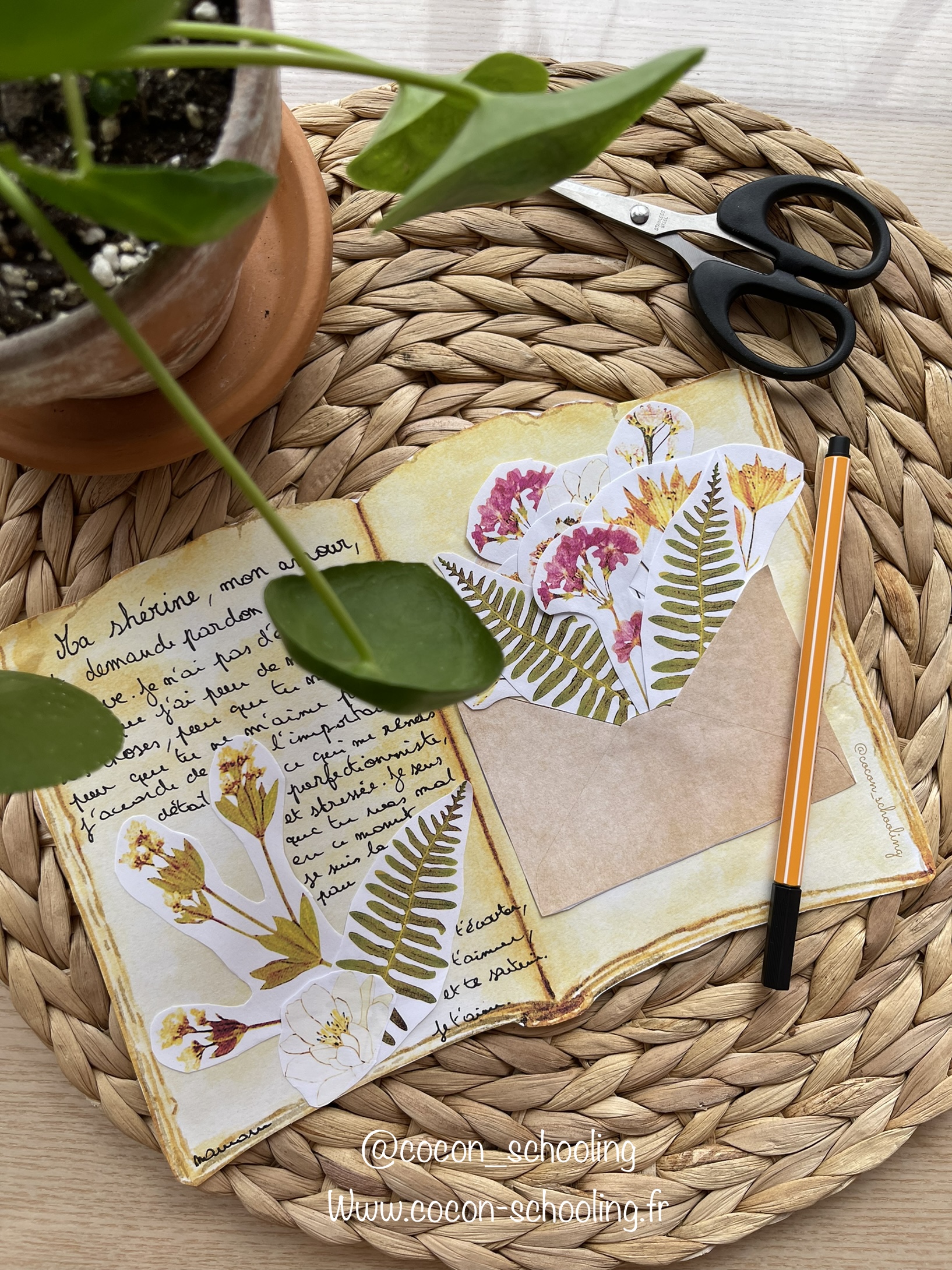 Un livre ouvert, une douce lettre – Cocon-Schooling
