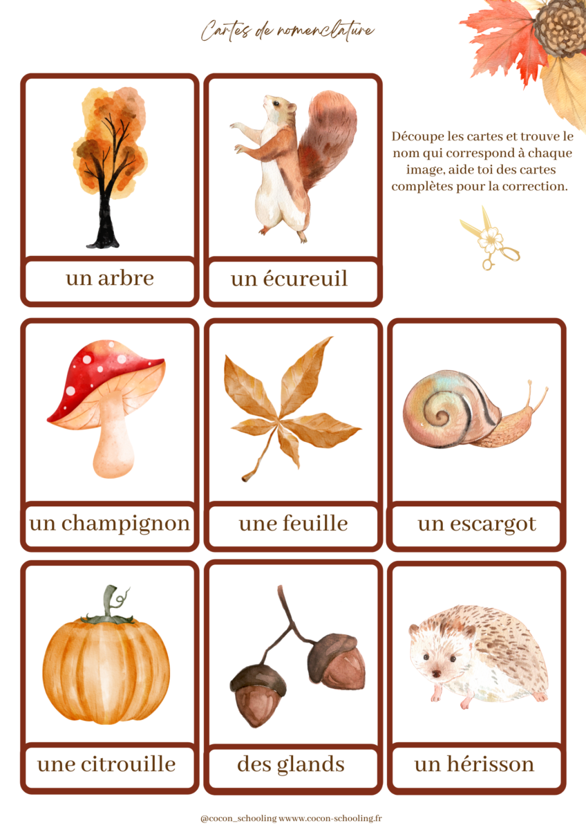 Livret de l’Automne maternelle – Cocon-Schooling