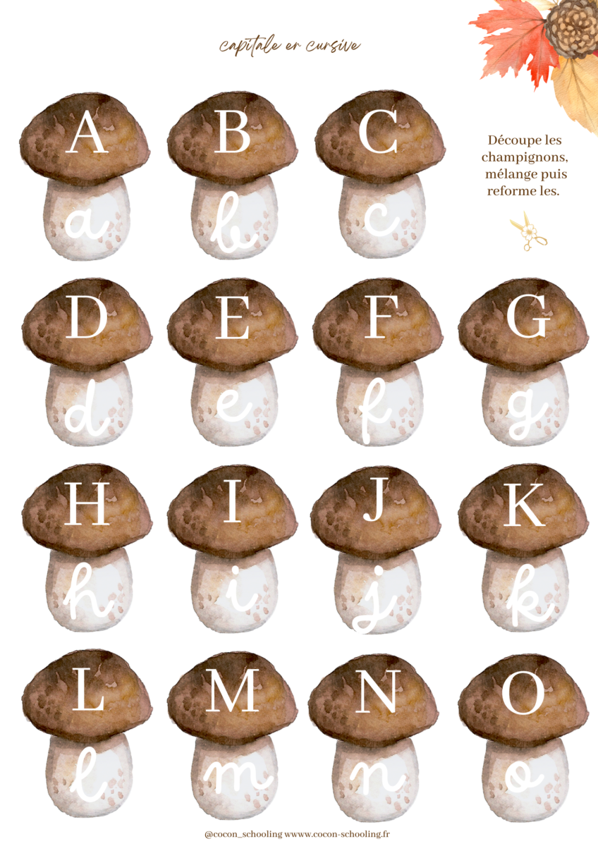 Livret de l’Automne maternelle – Cocon-Schooling