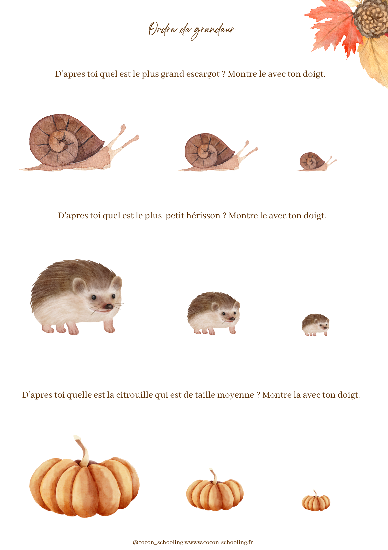 Livret de l’Automne maternelle – Cocon-Schooling