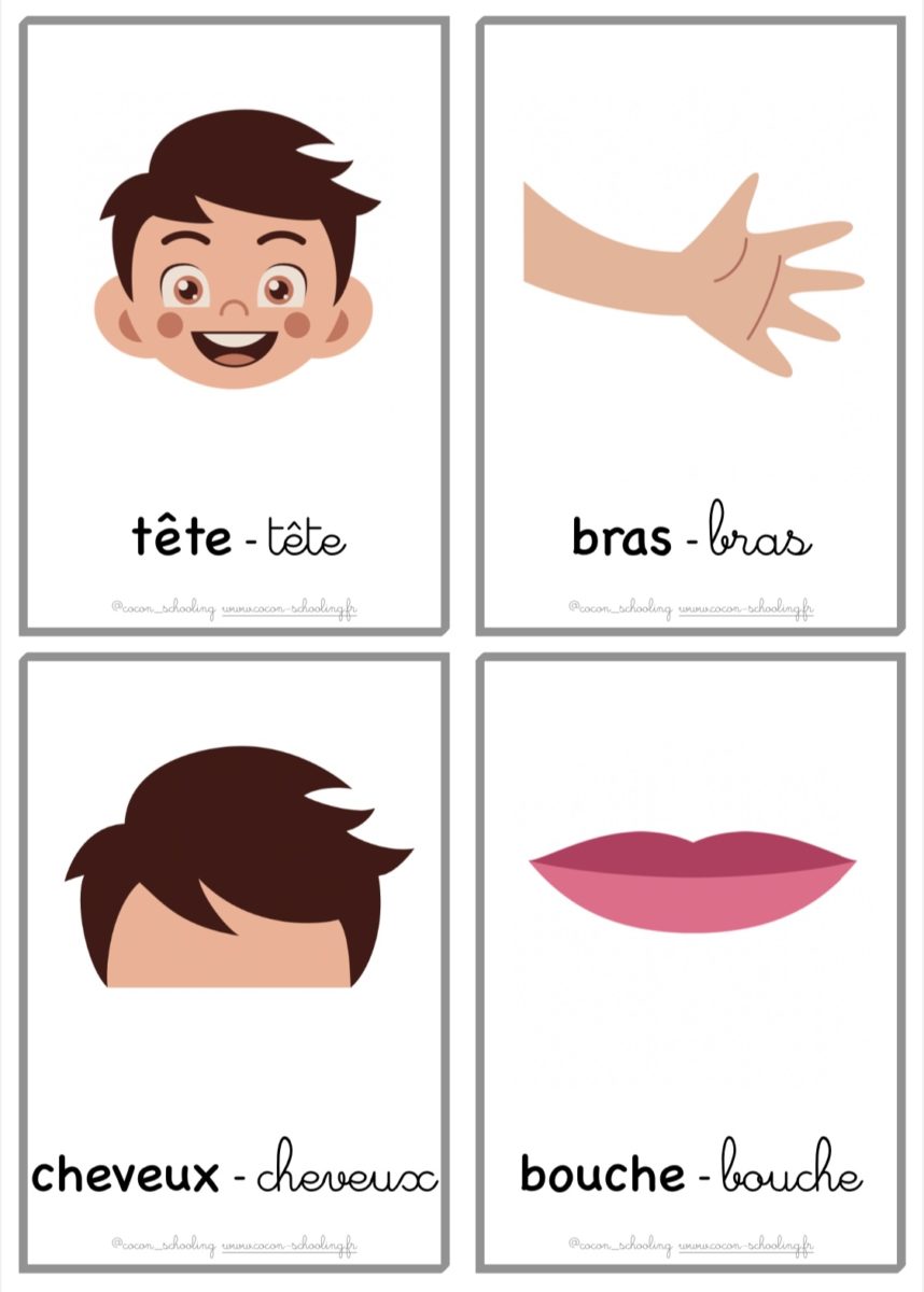 Les parties du corps pour bébé – Cocon-Schooling