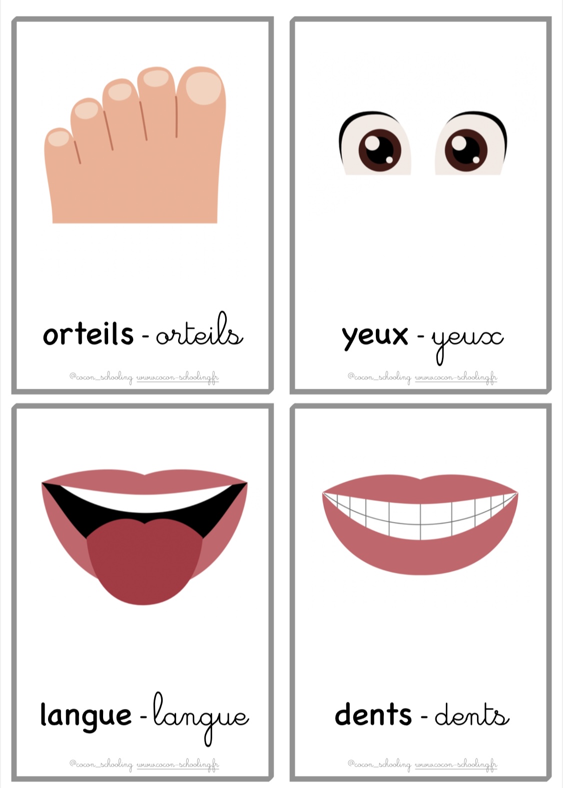 Les parties du corps pour bébé – Cocon-Schooling