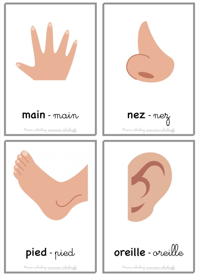 Les parties du corps pour bébé – Cocon-Schooling