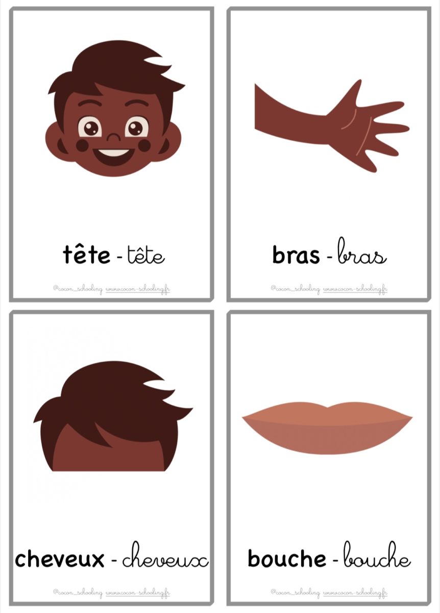 Les parties du corps pour bébé – Cocon-Schooling