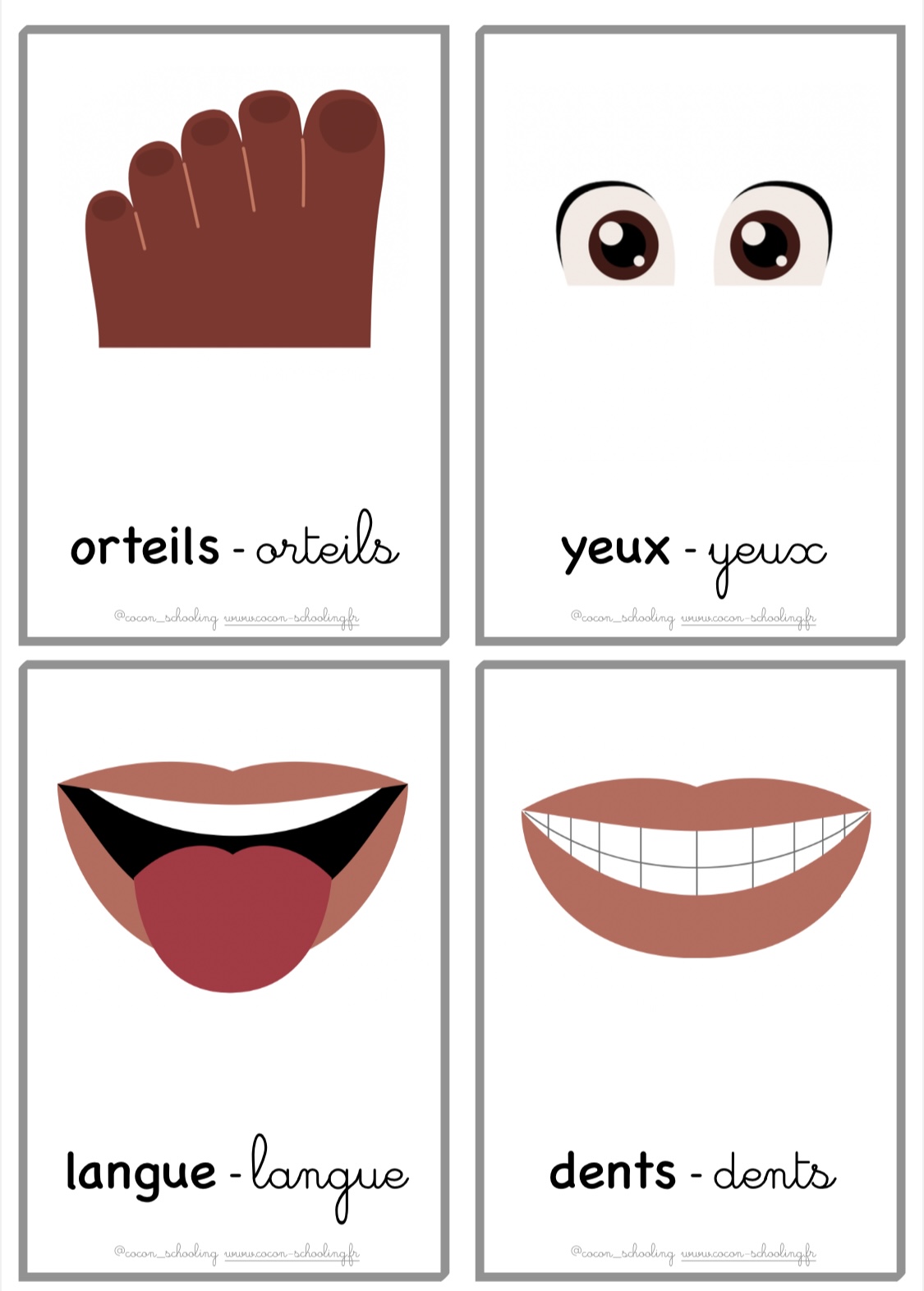 Les parties du corps pour bébé – Cocon-Schooling