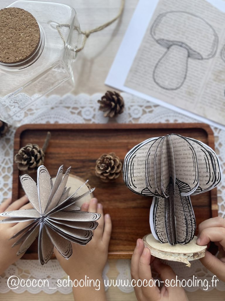 Déco champignon – Cocon-Schooling