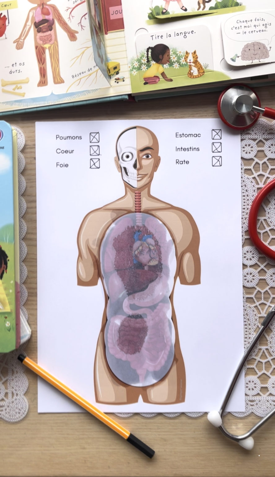 Corps humain – Cocon-Schooling