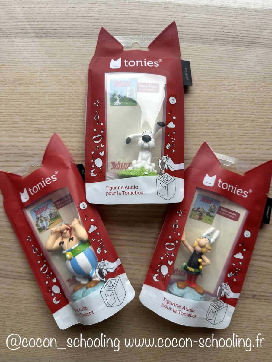 Asterix – Cocon-Schooling