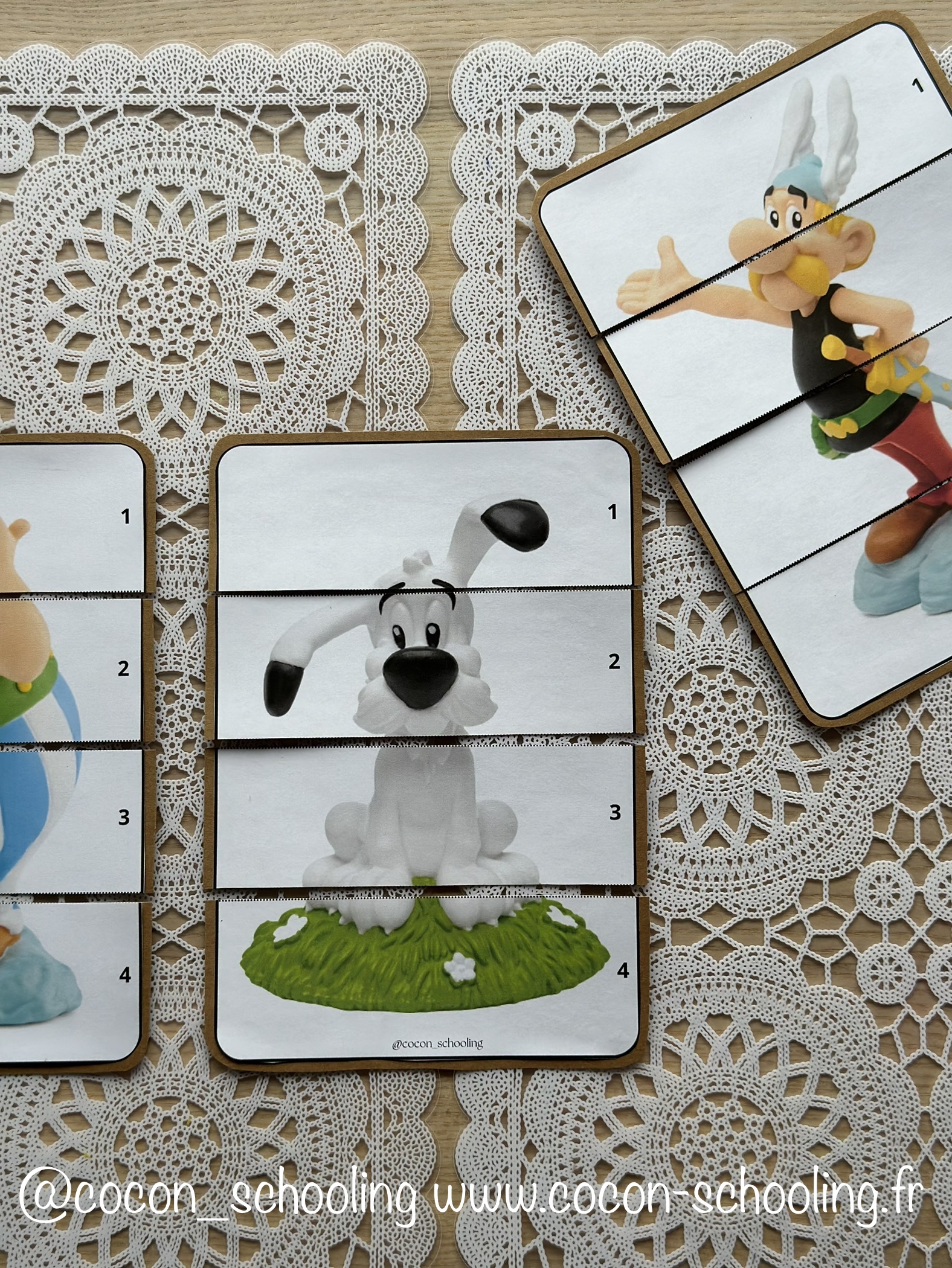 Asterix – Cocon-Schooling