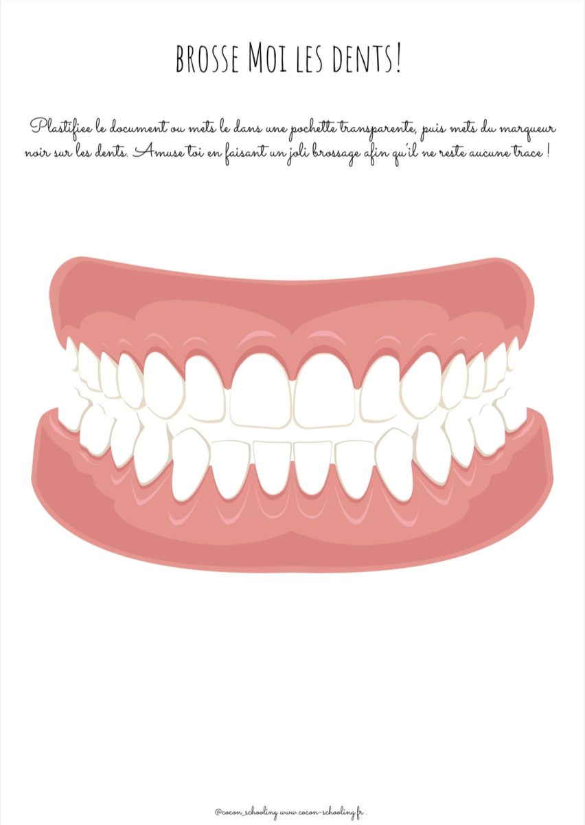 Les dents des enfants – Cocon-Schooling