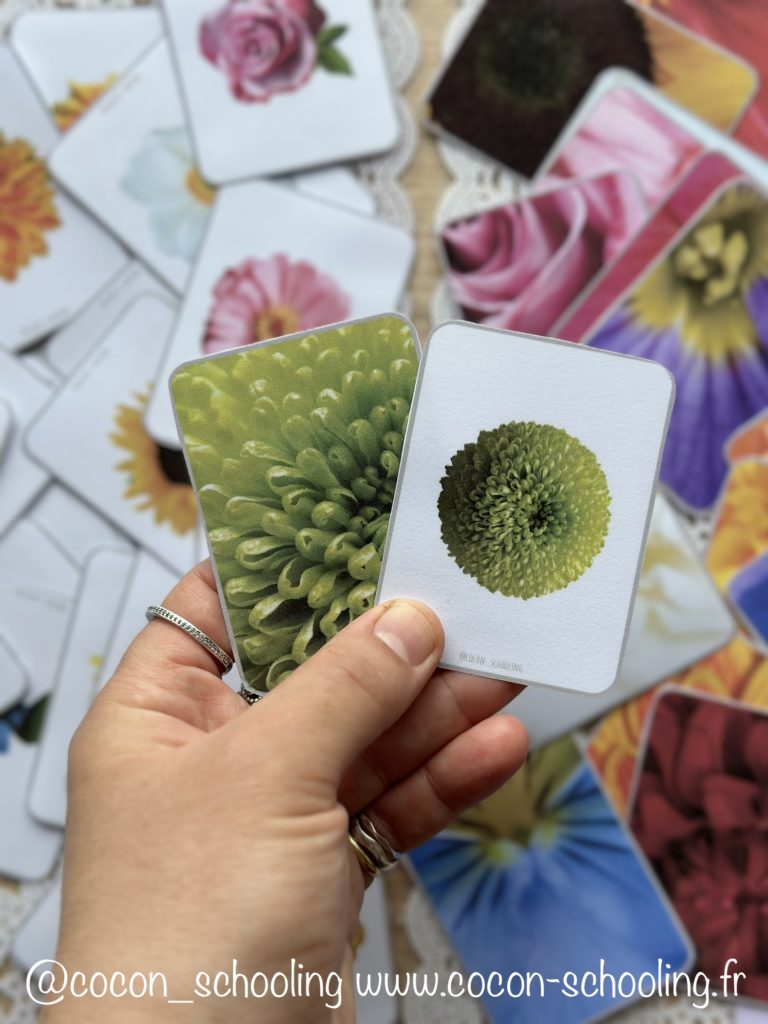 Fleur ZoOm – Cocon-Schooling