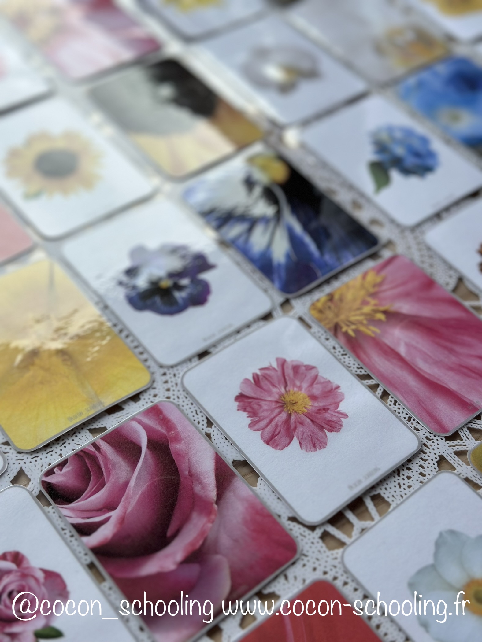 Fleur ZoOm – Cocon-Schooling