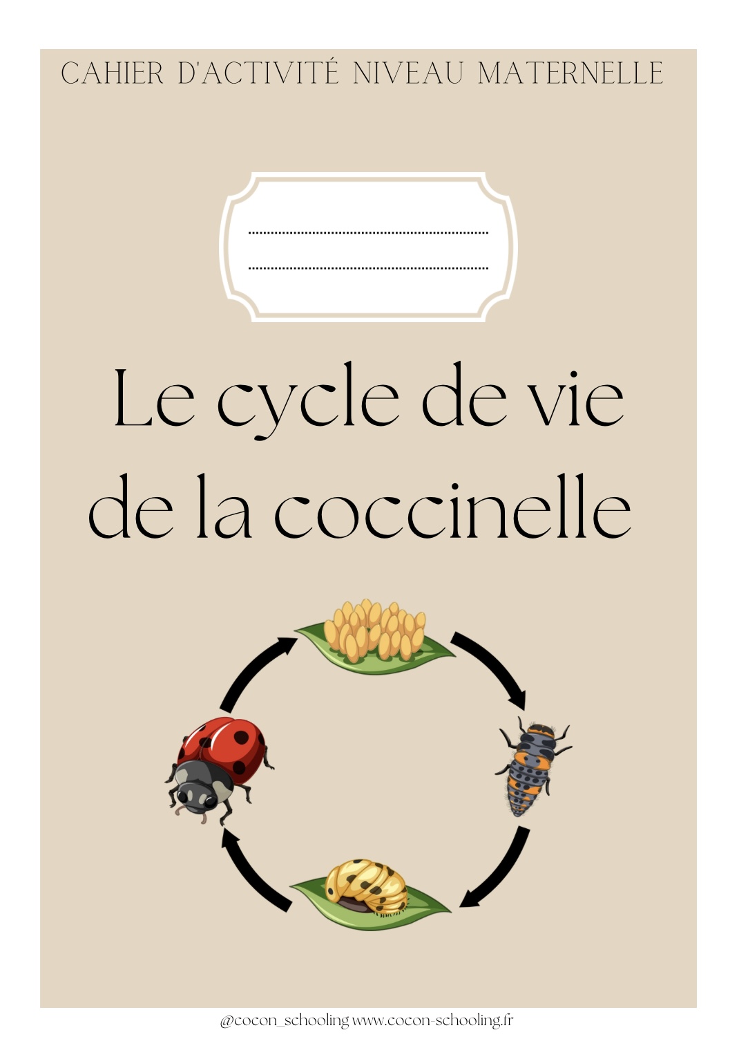 Les coccinelles – Cocon-Schooling