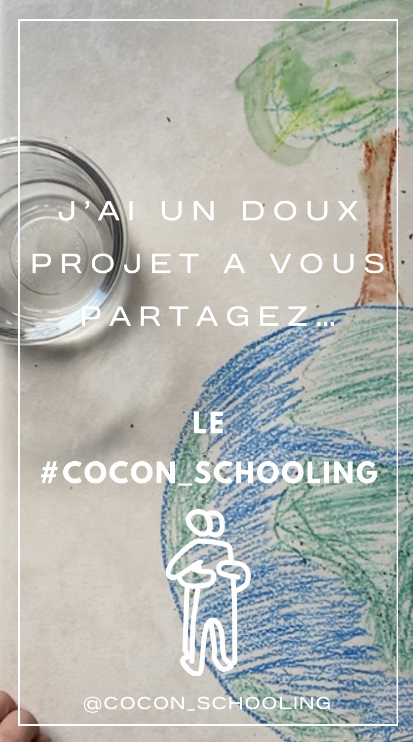 Projet #cocon_schooling – Cocon-Schooling