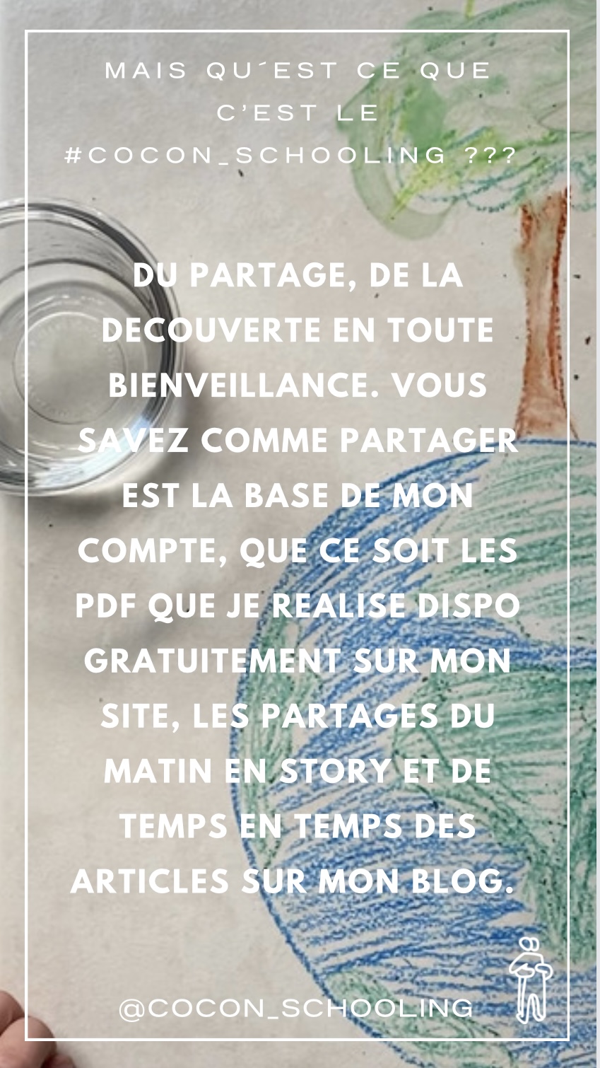 Projet #cocon_schooling – Cocon-Schooling