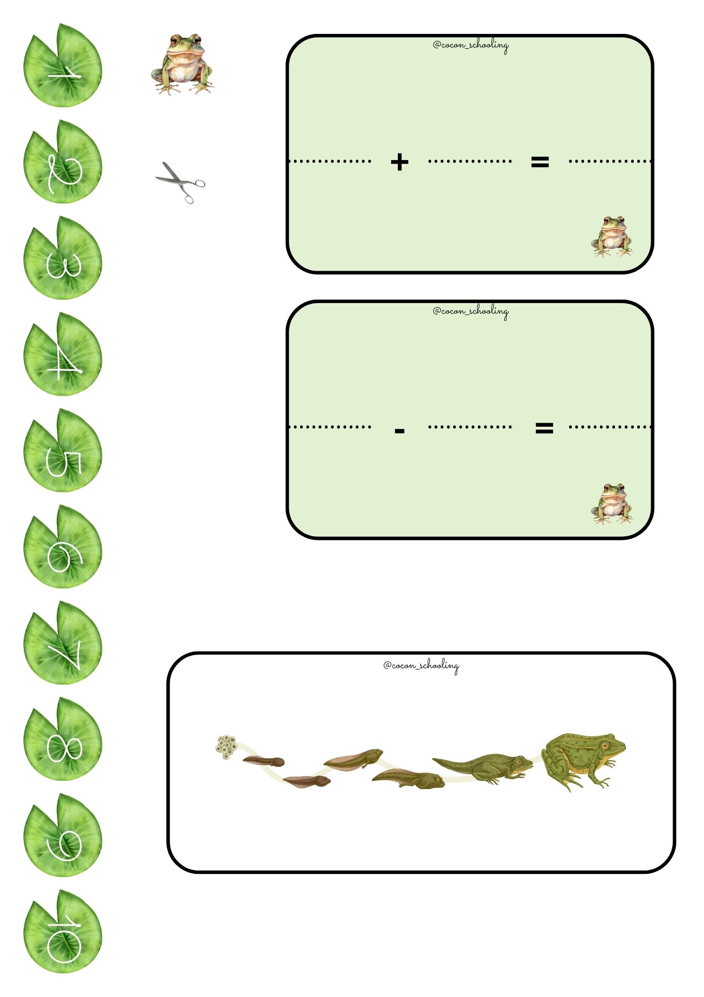 Grenouille – Cocon-Schooling